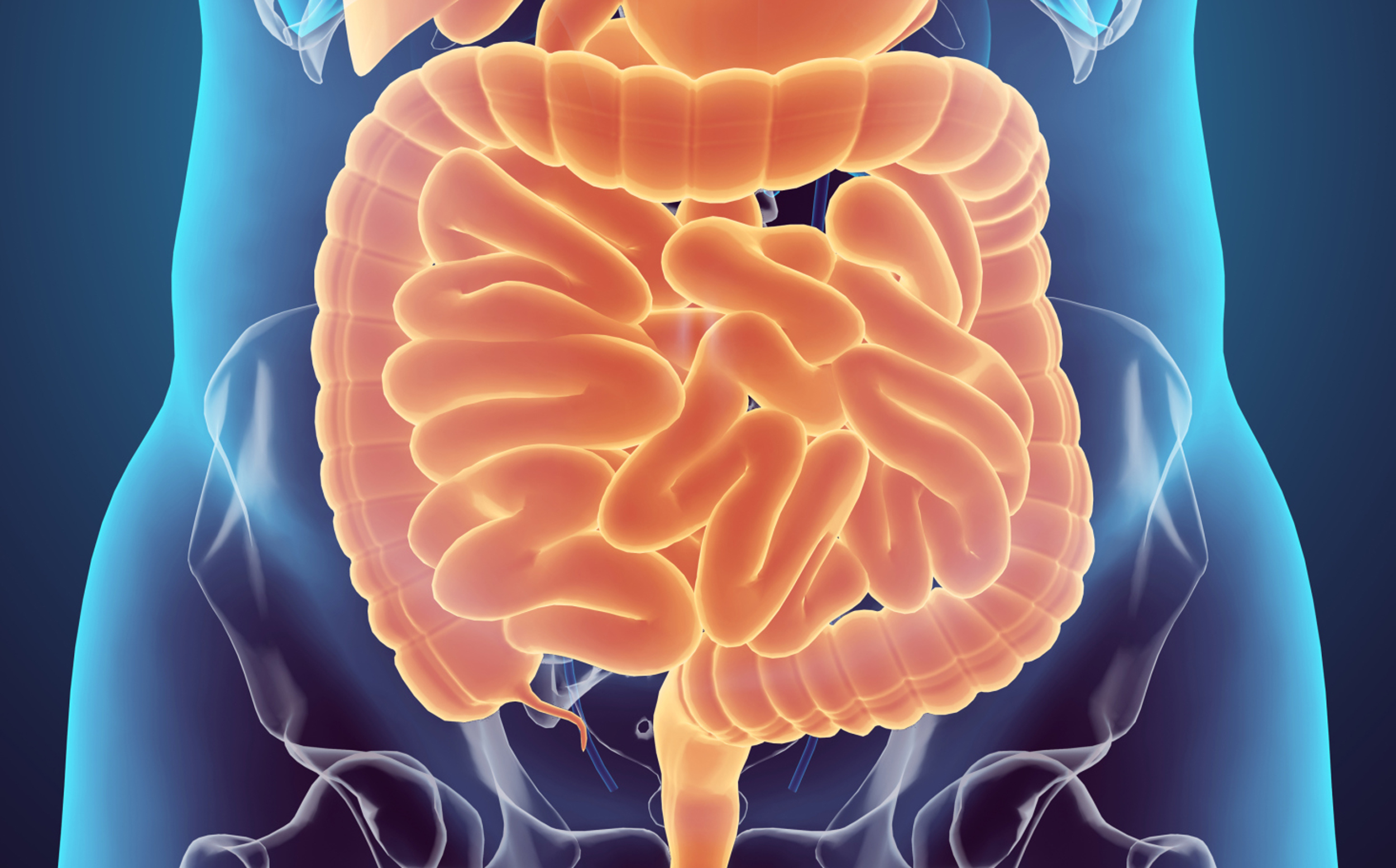 Come prepararsi alla colonscopia? - Humanitas